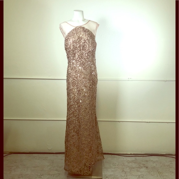 Ignite Evenings | Dresses | Ignite Evenings Sequin Lace Gown Dress ...